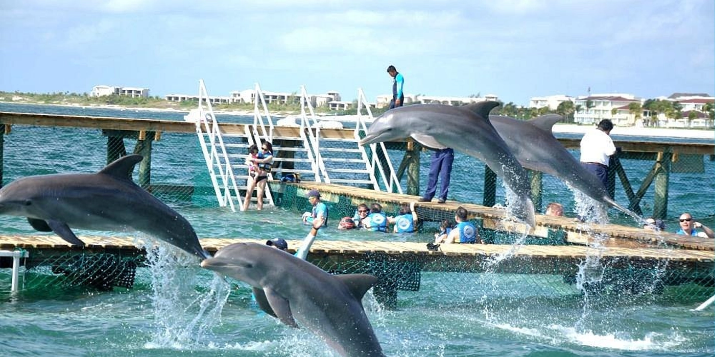 Dolphin Discovery - DR Travel DMC